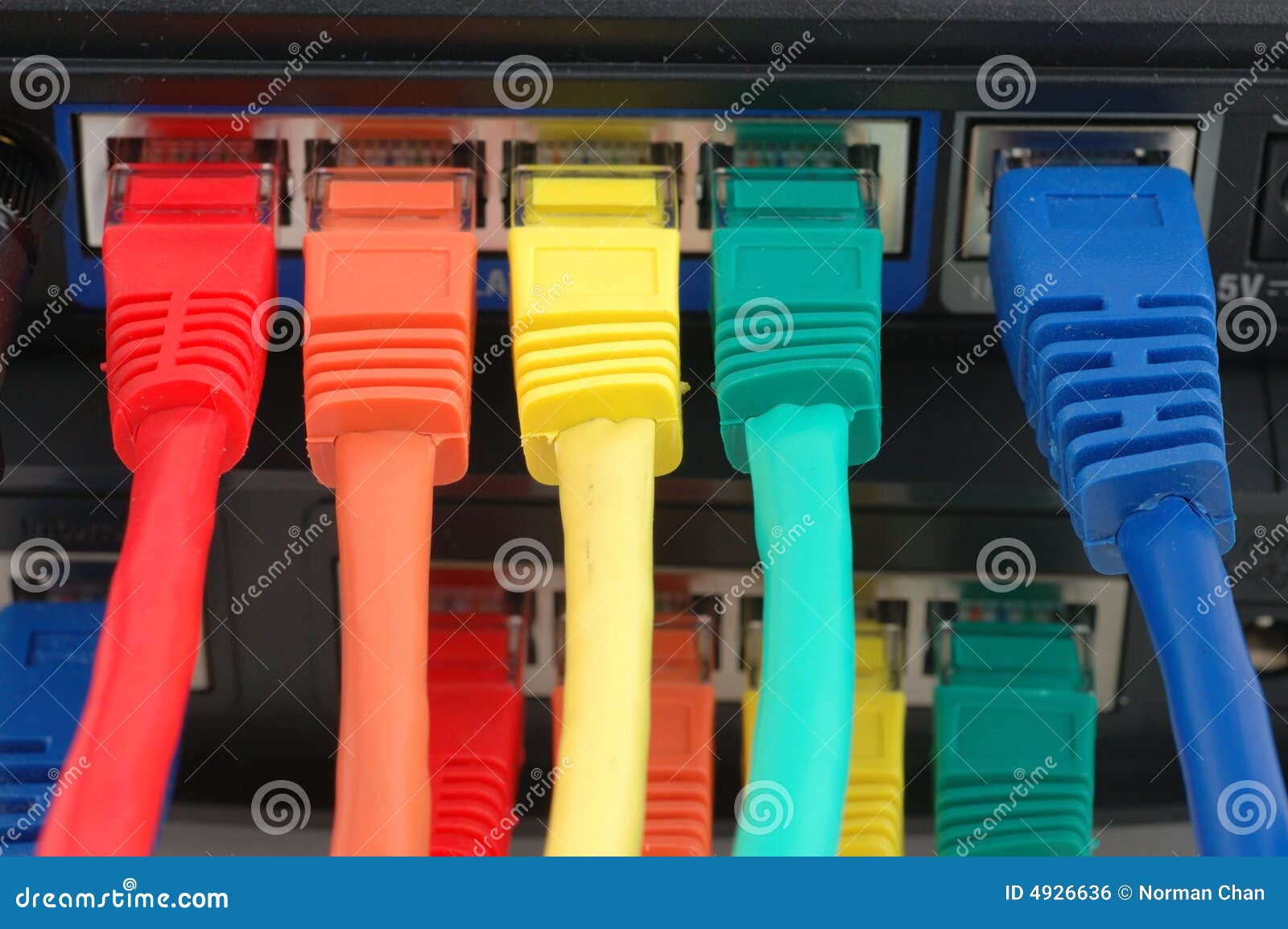 Multi Color Cables Connected Stock Photo - Image of closeup, rj45: 4926636
