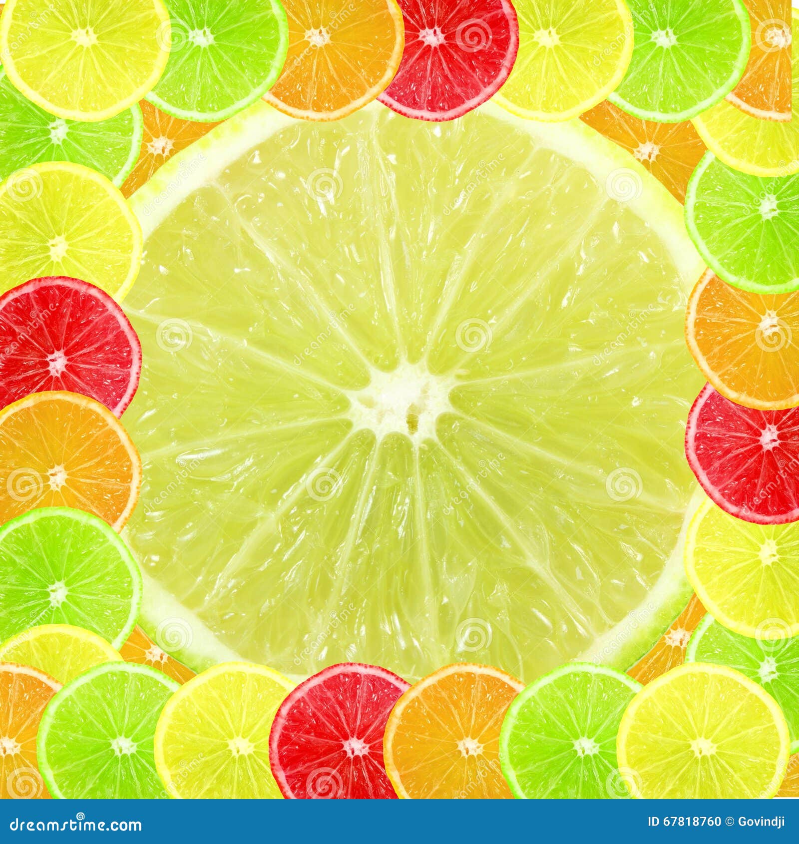 Multi Color Different Citrus Slices As Background Stock Photo - Image ...