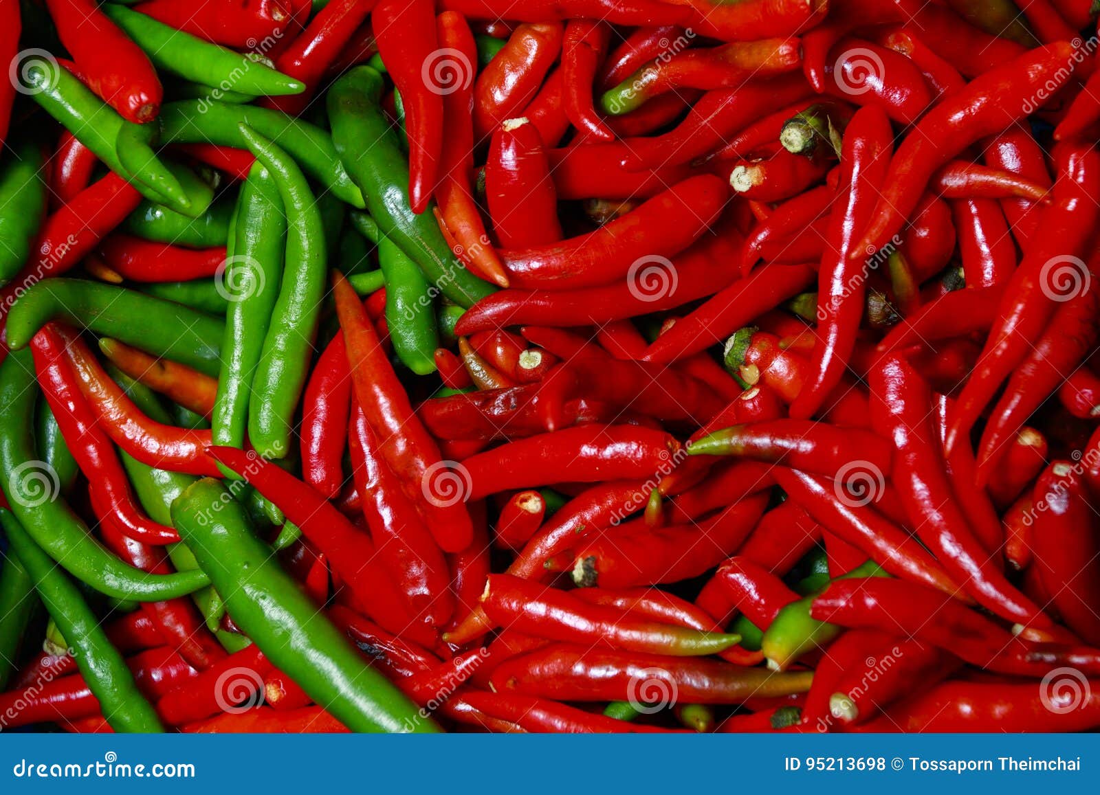 Multi color fresh chilli stock photo. Image of green - 95213698
