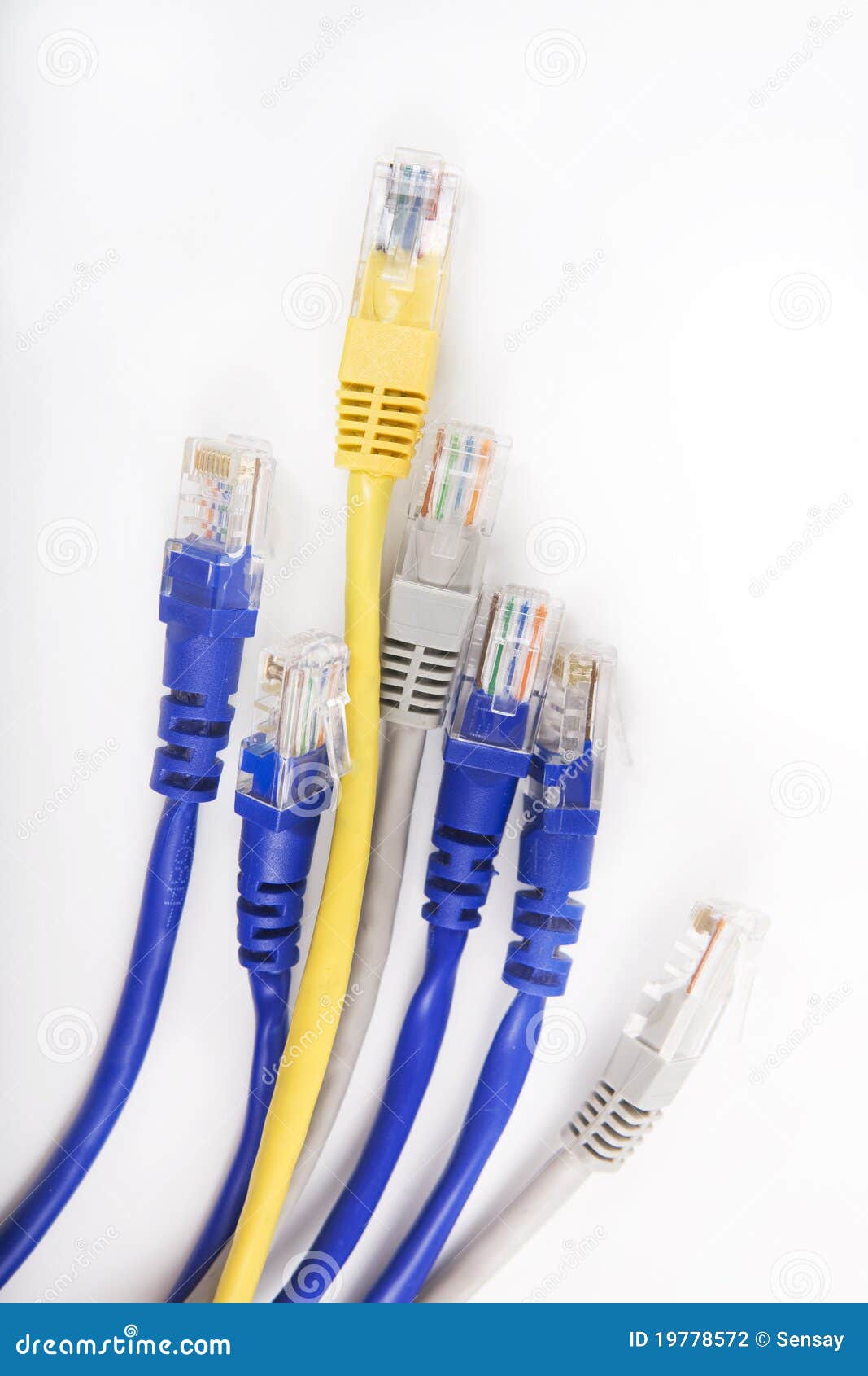 Multi color network cables stock photo. Image of white - 19778572