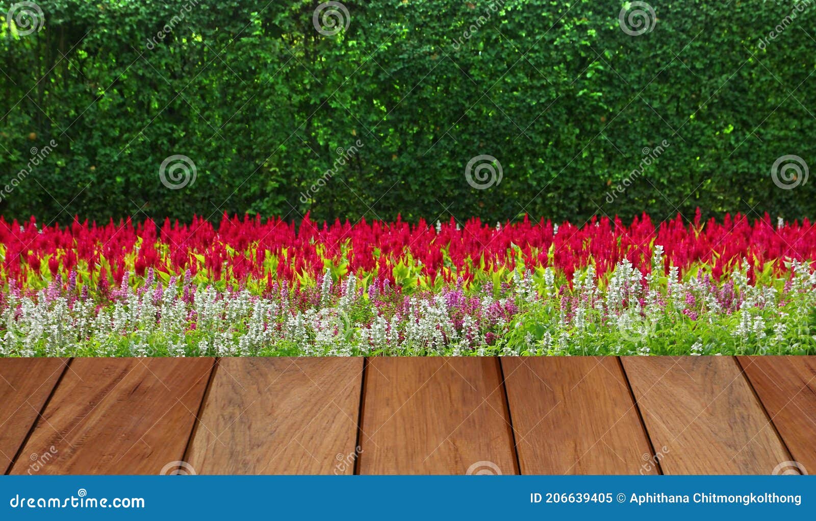 Multi Color Pattern with Green Wall Stock Image - Image of detail ...