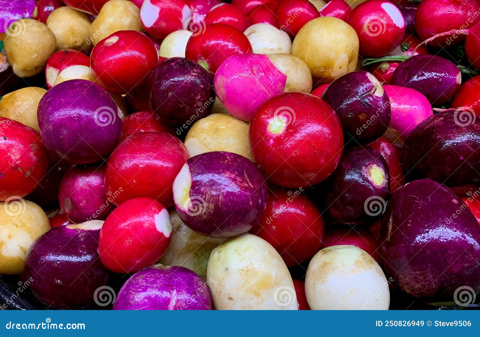 Trimmed Red Purple and White Radishes Stock Image - Image of fruit ...