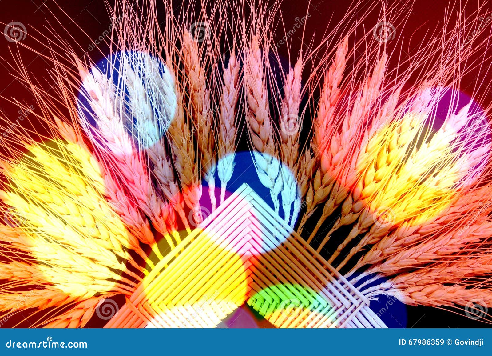 Multi Color Wheat Texture Background Stock Image - Image of banner ...