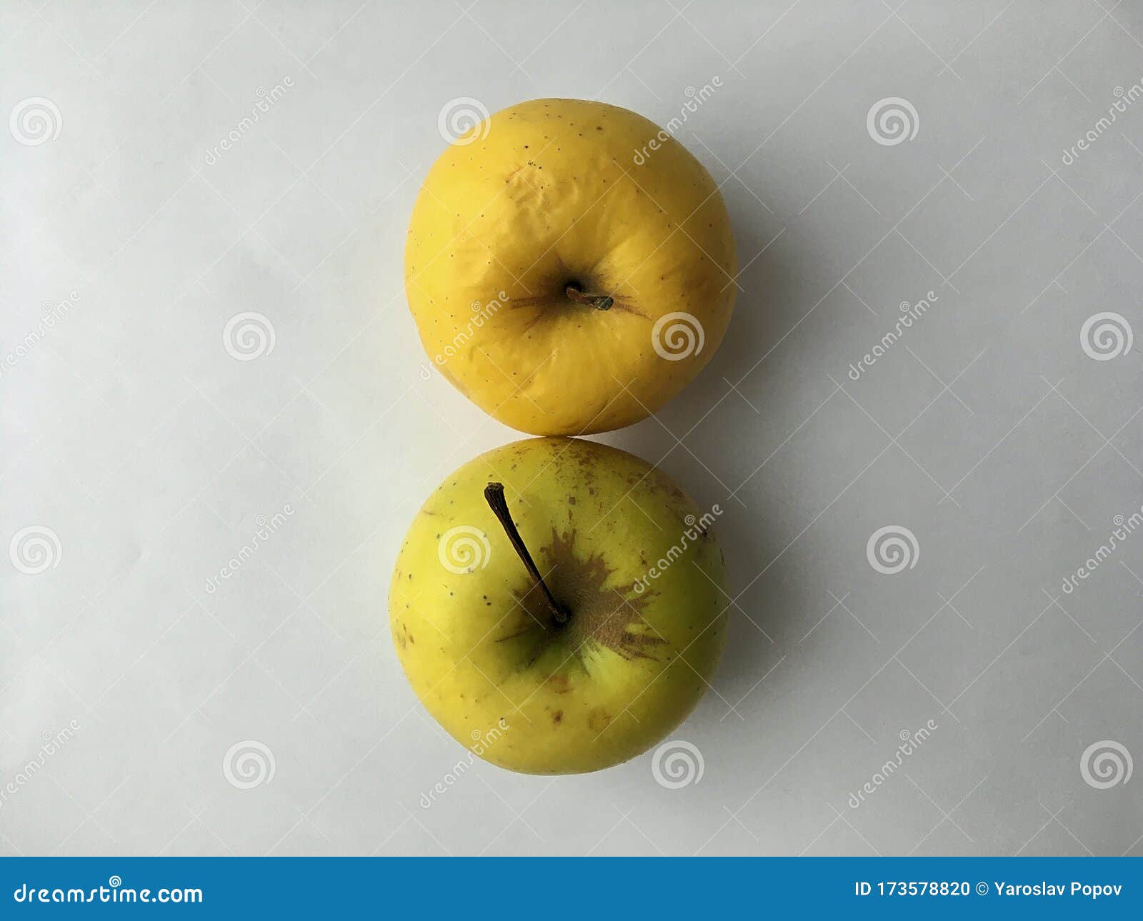 Multi-colored Apples on a White Background. Minimalistic Abstract ...