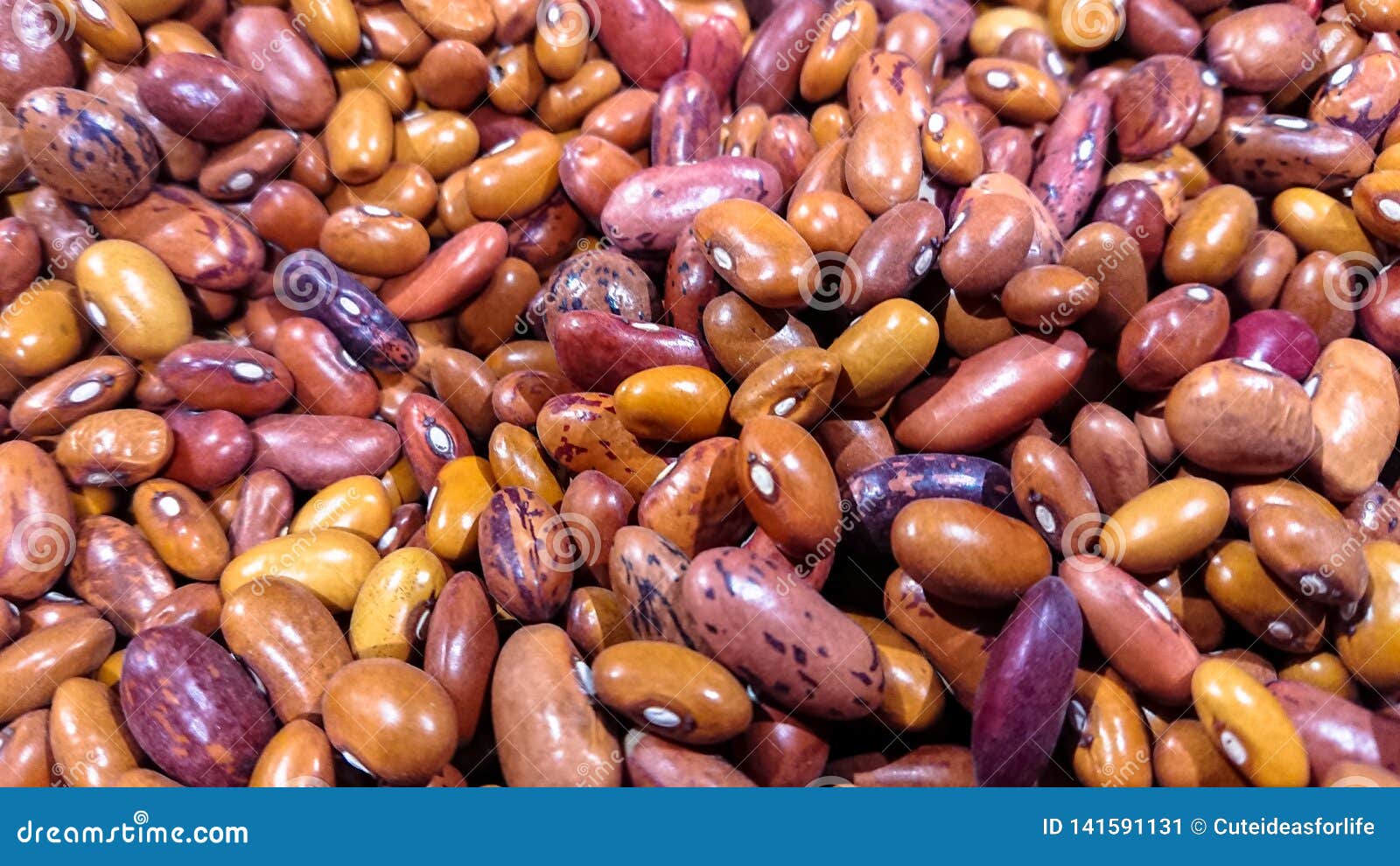 Multi-colored Bean Seed Background with Copy Space Stock Image - Image ...