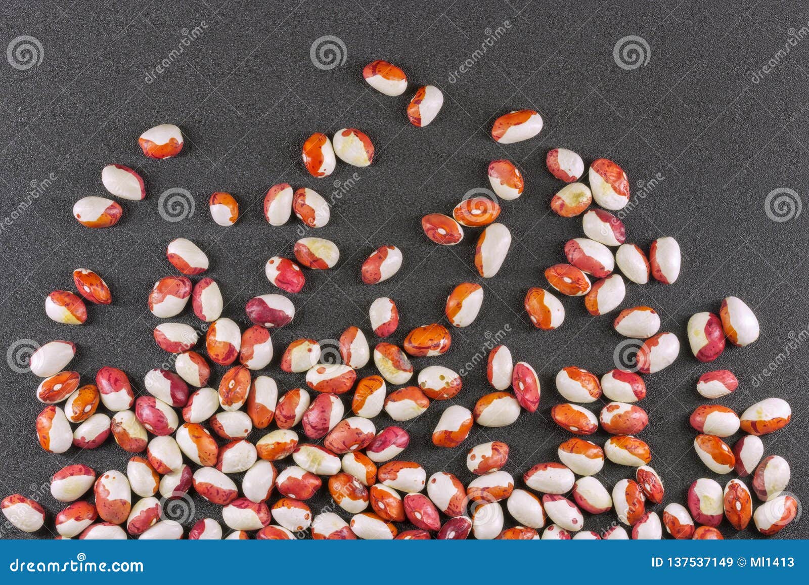 Multi-colored Beans on a Gray Background Stock Image - Image of beans ...