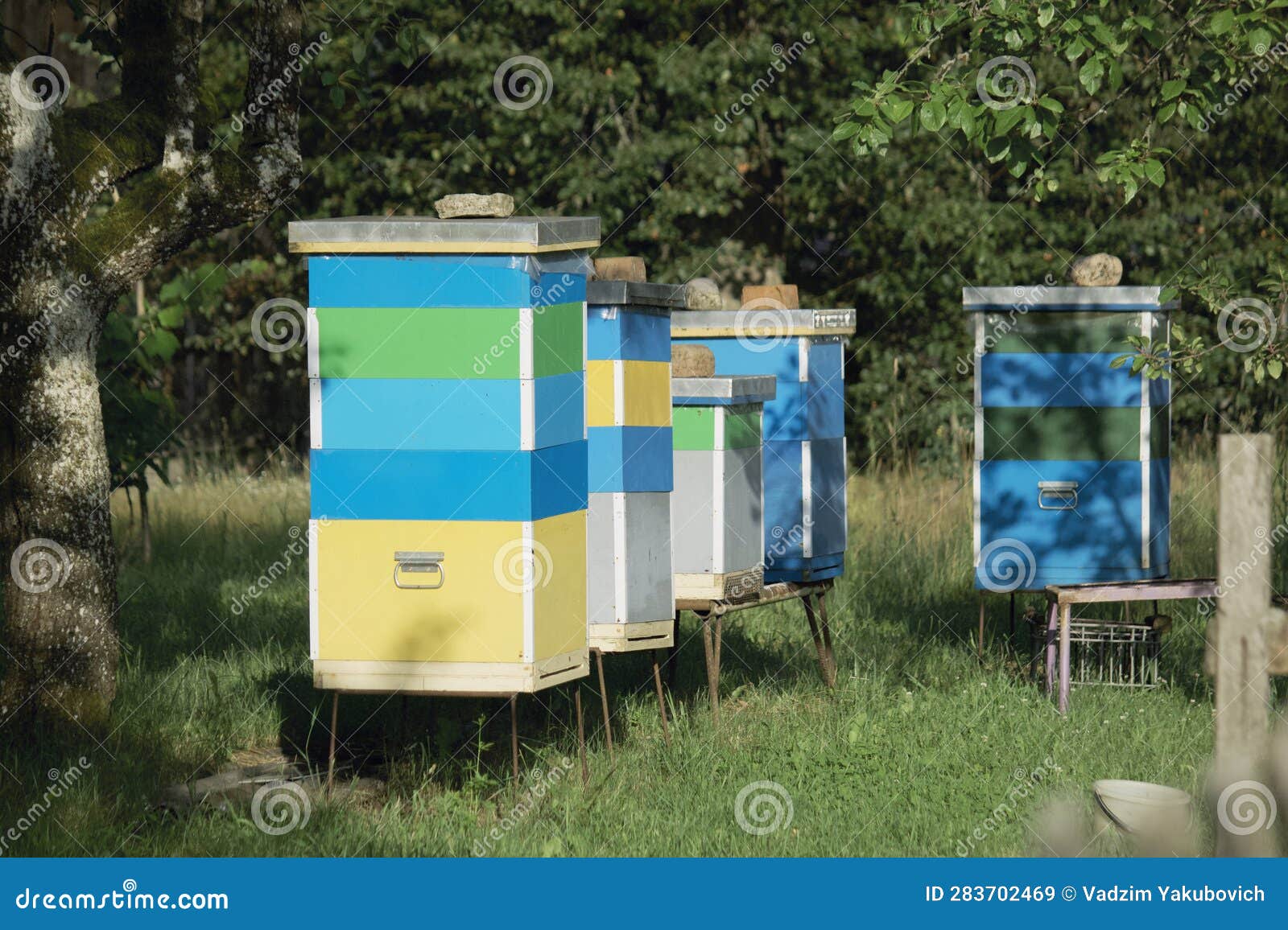 Multi-colored Bee Hives. Stand in Rows in a Village Garden Stock Image ...