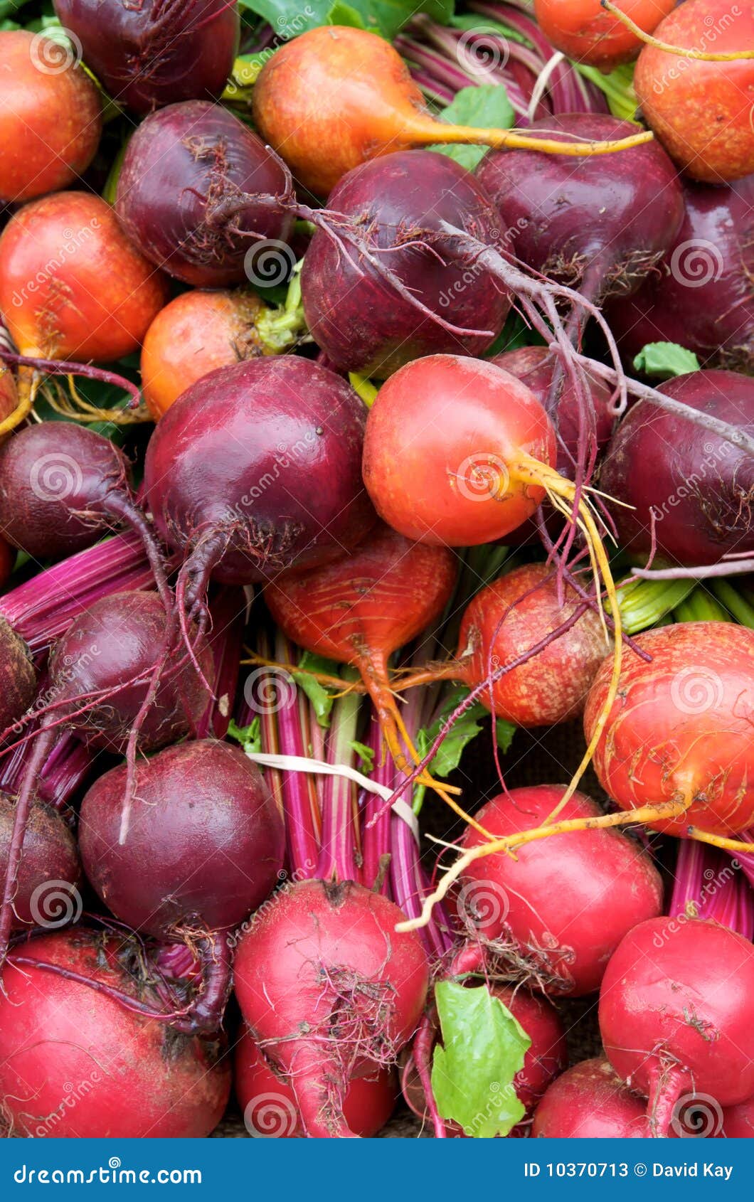 Multi-colored Beets stock image. Image of white, green - 10370713