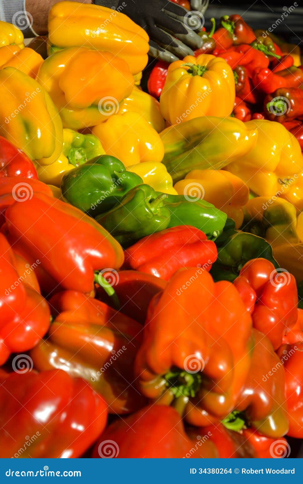 Multi-colored Bell Peppers stock photo. Image of green - 34380264