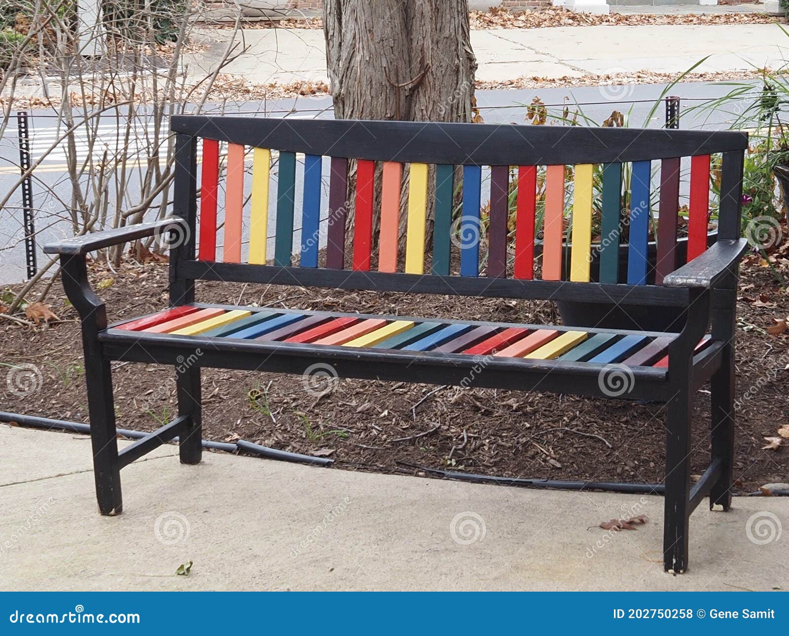 The Multi-colored Bench is Unique. Stock Photo - Image of uniq, yellow ...