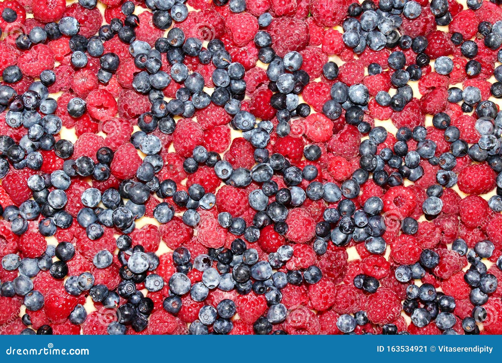 Multi Colored Berry Background Stock Image - Image of multi, color ...
