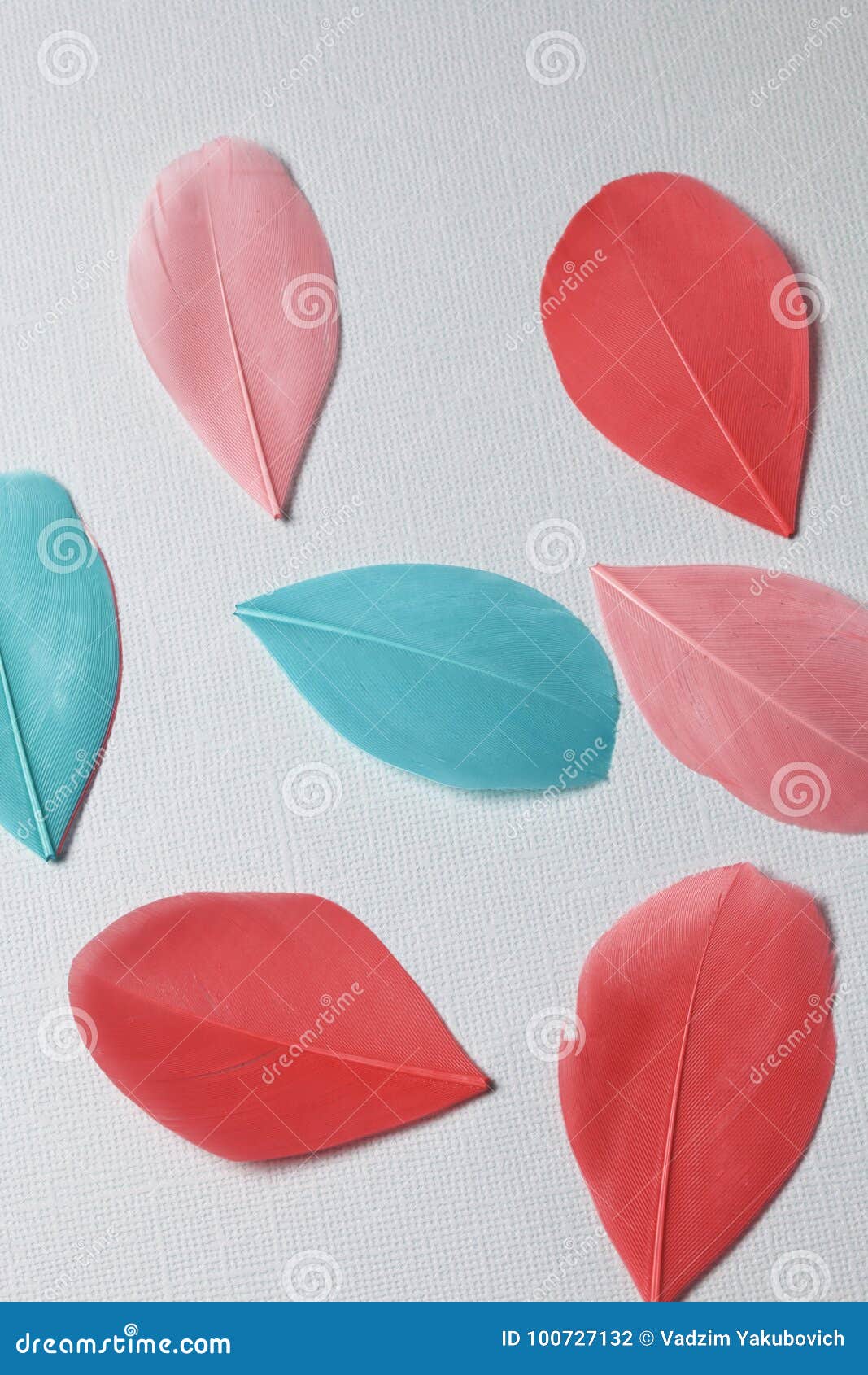 Multi-colored Bird Feathers of Different Colors: Red, Pink and Green ...