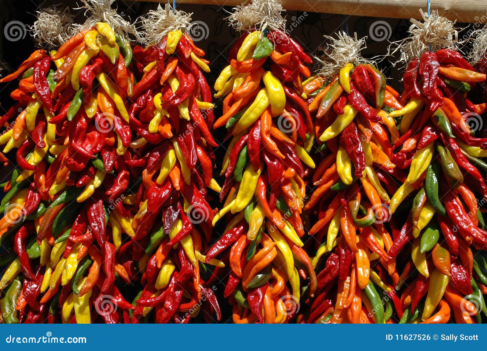 Multi Colored Chili Ristras Stock Photo - Image of chillies, green ...