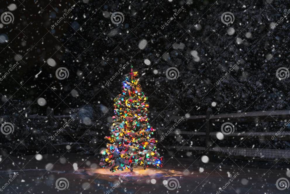 Multi-Colored Christmas Tree at Night while Snowing Stock Photo - Image ...