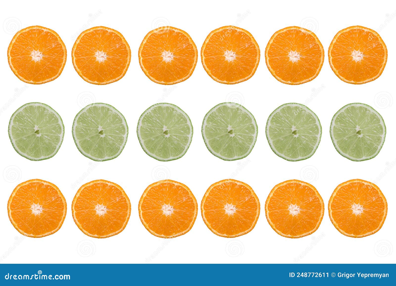Citrus Slices on a White Background Stock Illustration - Illustration ...