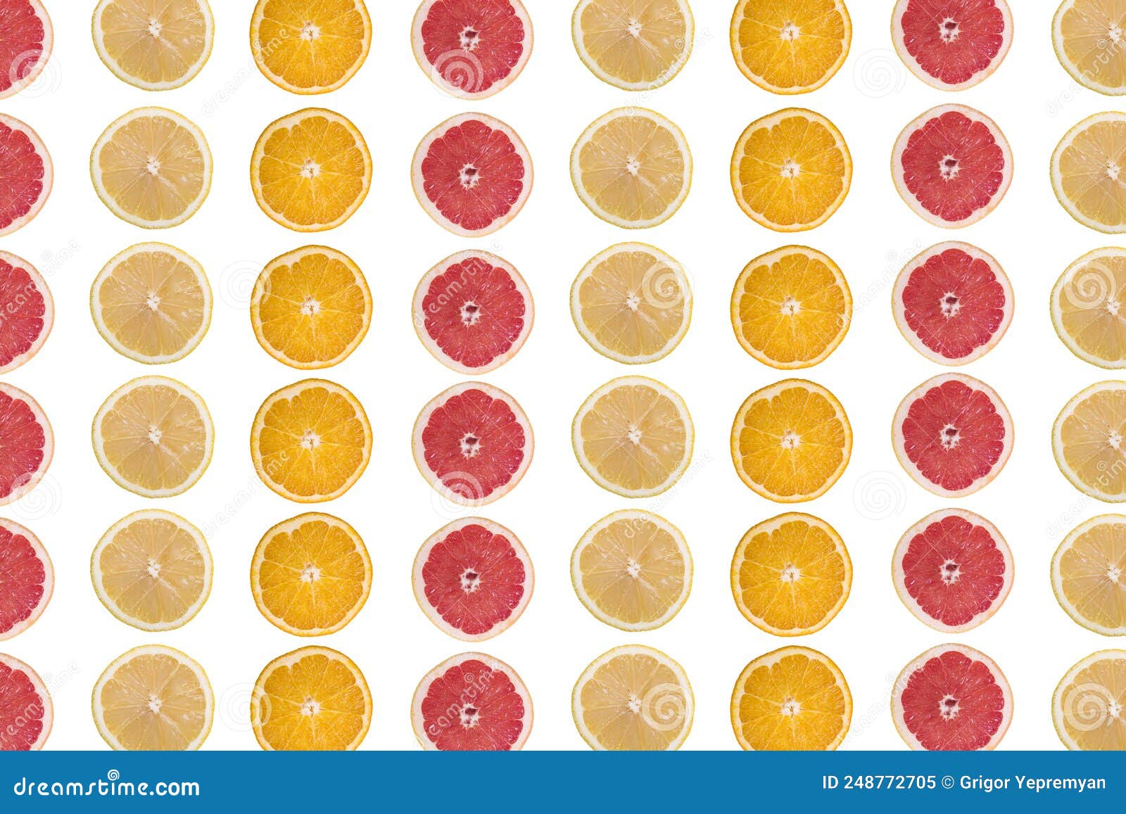 Citrus Slices on a White Background Stock Illustration - Illustration ...