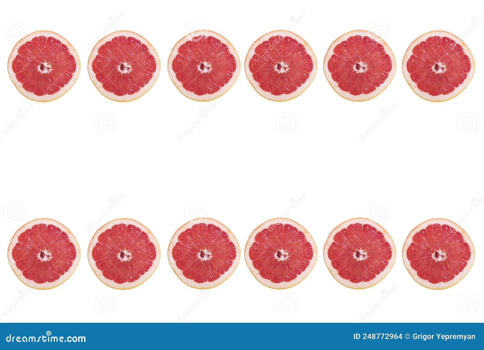 Citrus Slices on a White Background Stock Illustration - Illustration ...