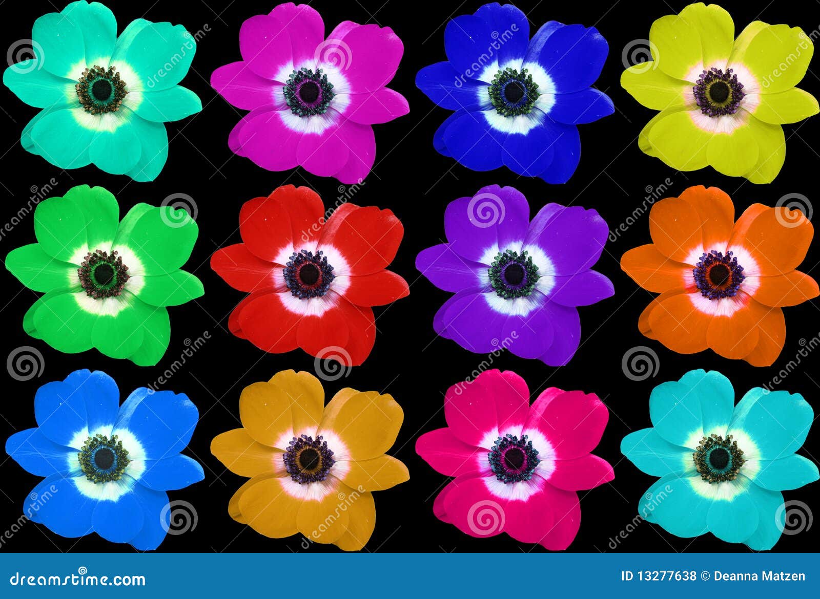 Multi-colored Collage Van De Bloem Stock Foto - Image of blauw, zwart ...