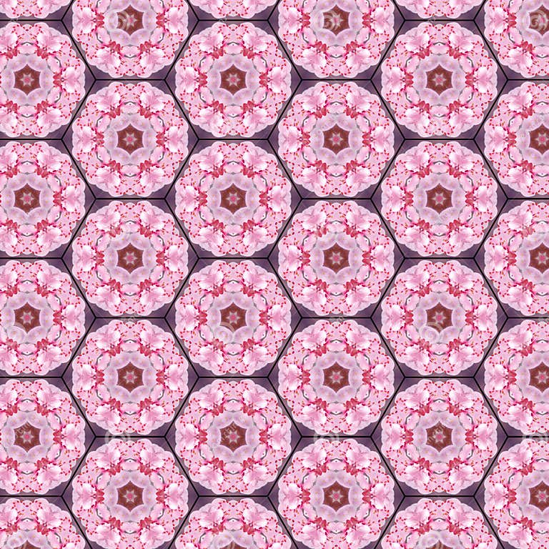 Design of Motive Pattern with Flowers, Stars and Abstract Form Inside ...