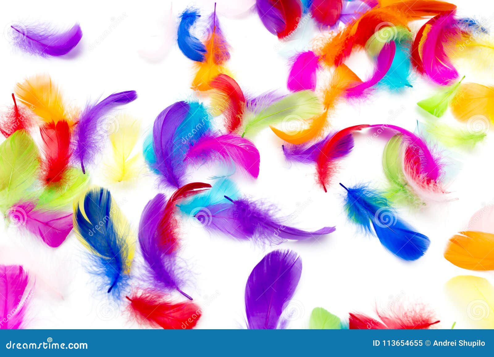 Multi-colored Feathers on a White Background Stock Image - Image of ...