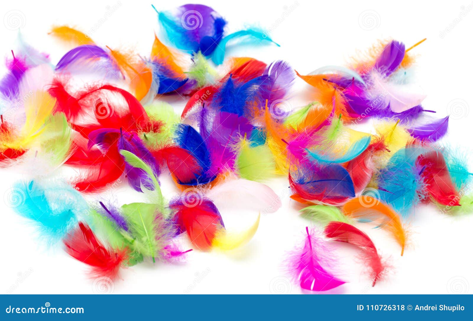 Multi-colored Feathers on a White Background Stock Photo - Image of ...
