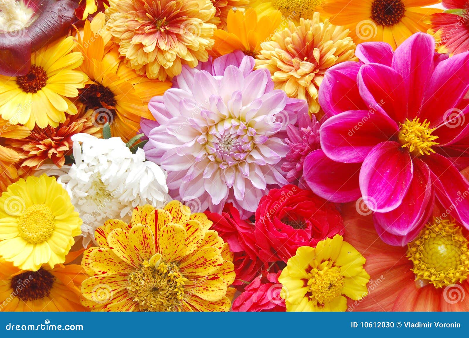 Multi Colored Flowers Pattern Background Stock Photo - Image of effect ...