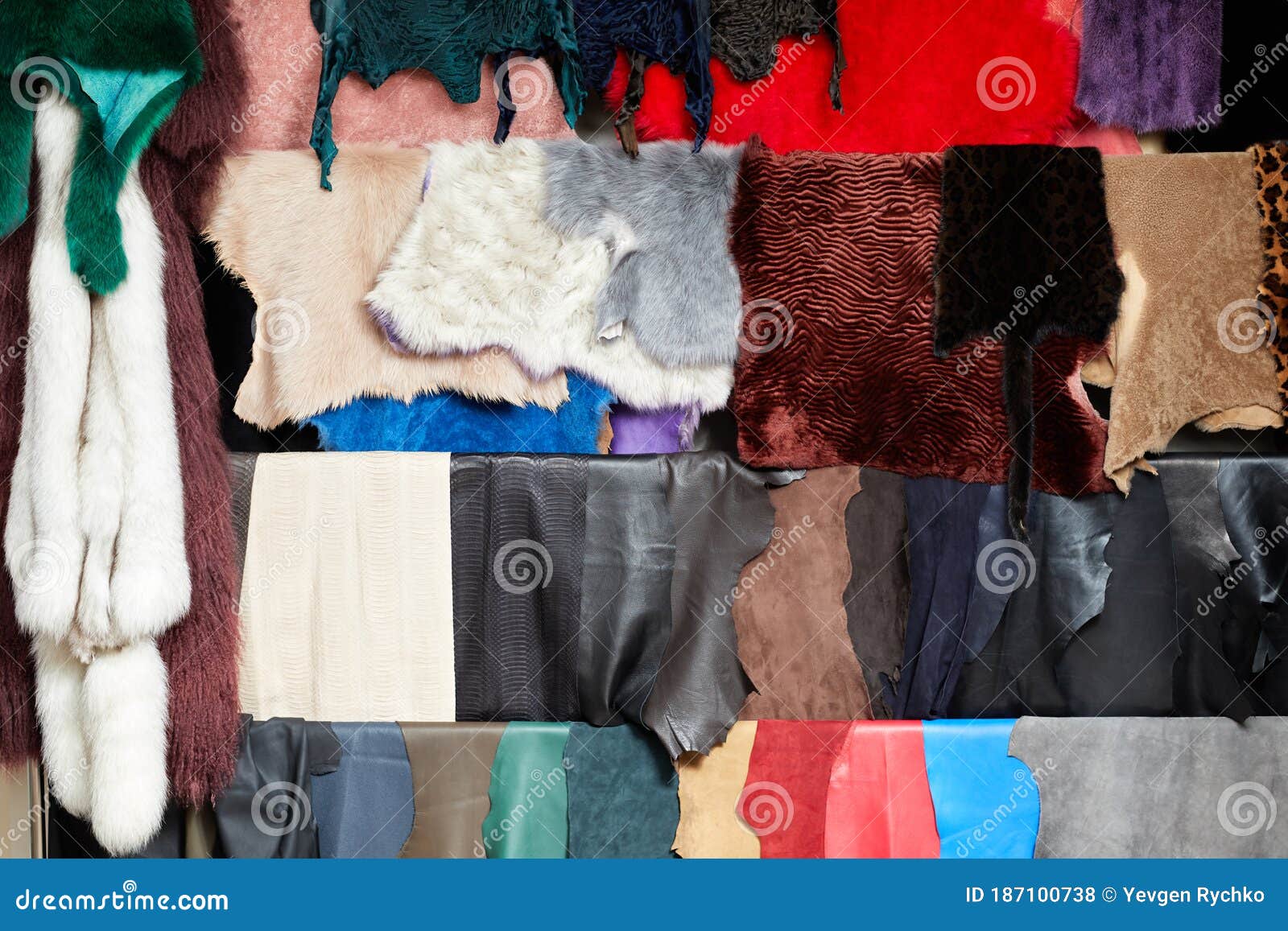 Multi-colored fur skins. stock photo. Image of sheepskin - 187100738