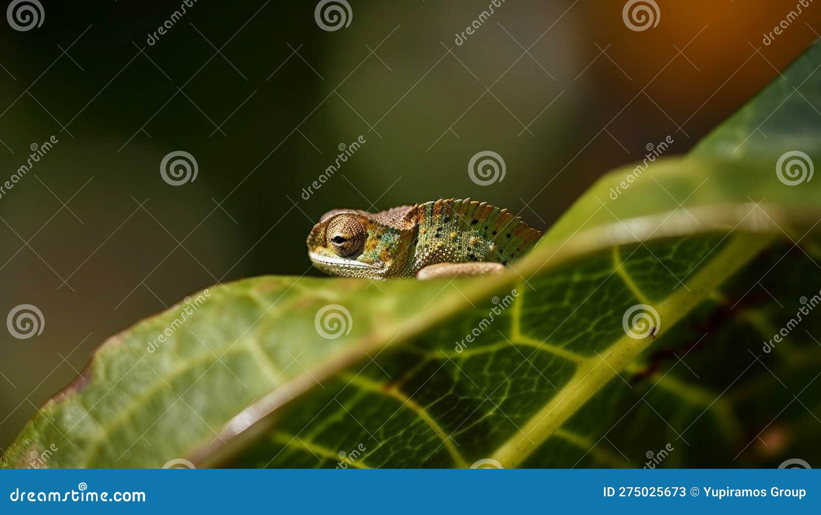 Multi Colored Gecko Crawls on Green Leaf Generated by AI Stock ...