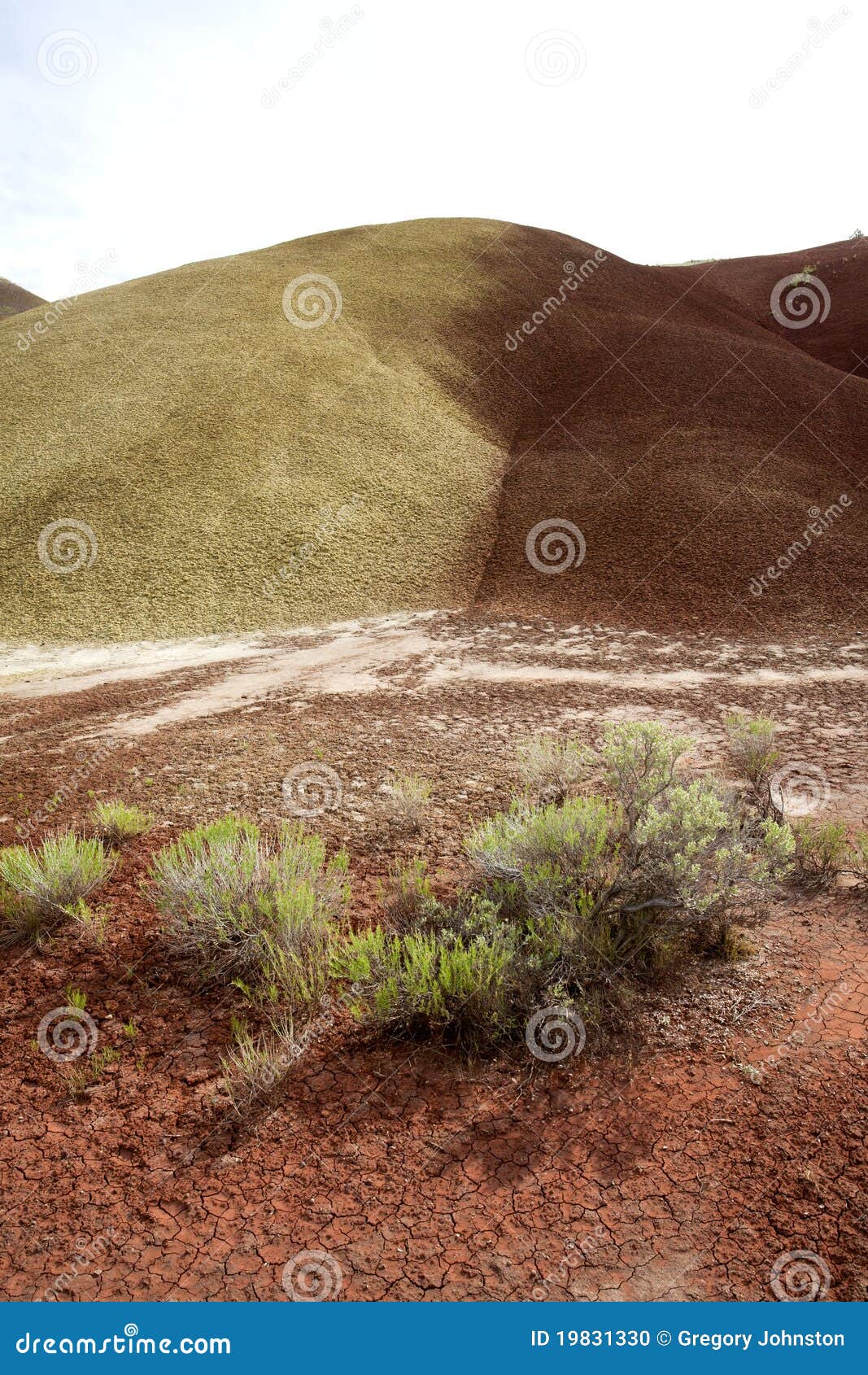 Multi colored hills. stock photo. Image of colorful, tourism - 19831330