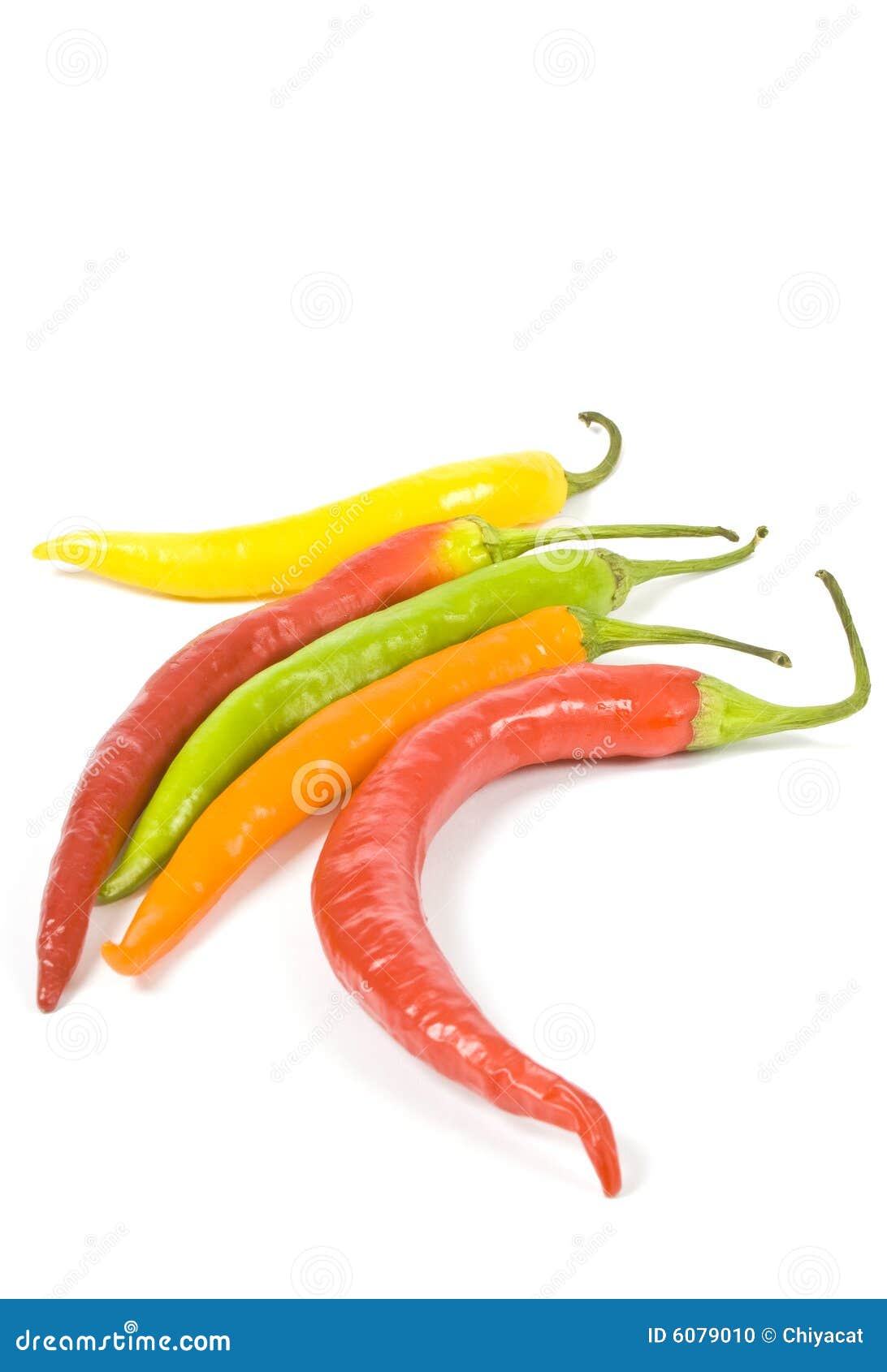 Multi-colored Hot Chili Peppers Isolated on White Stock Photo - Image ...