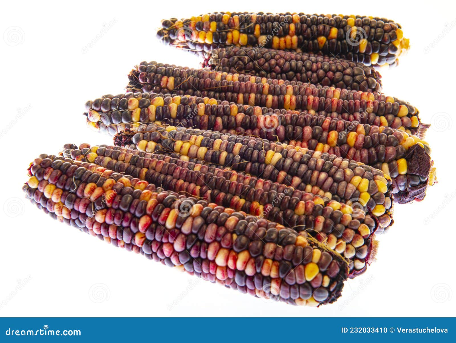 Multi colored indian corn stock photo. Image of multicolor - 232033410