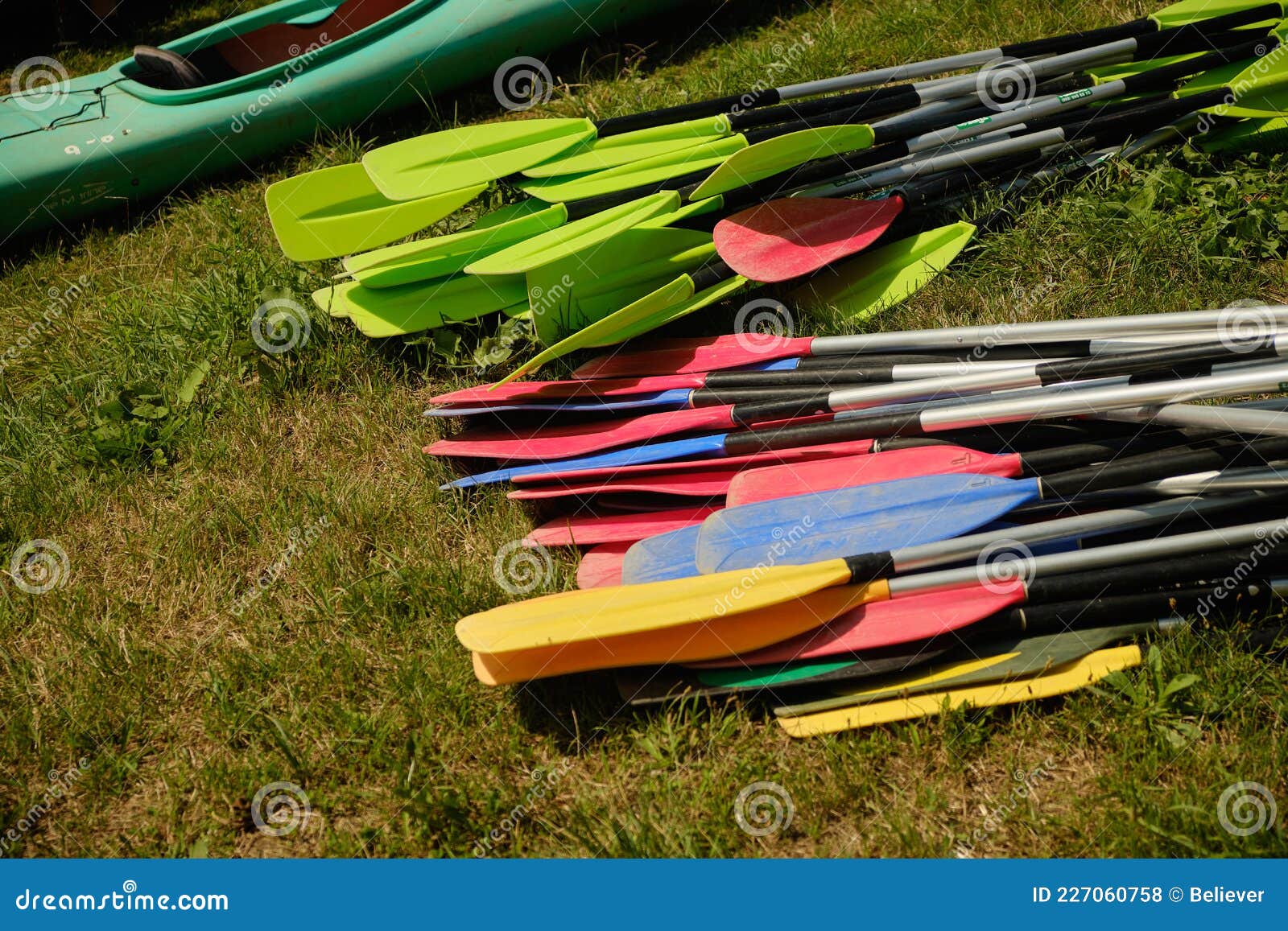 Multi-colored Kayak Paddles Dry on the Grass. Stock Photo - Image of ...
