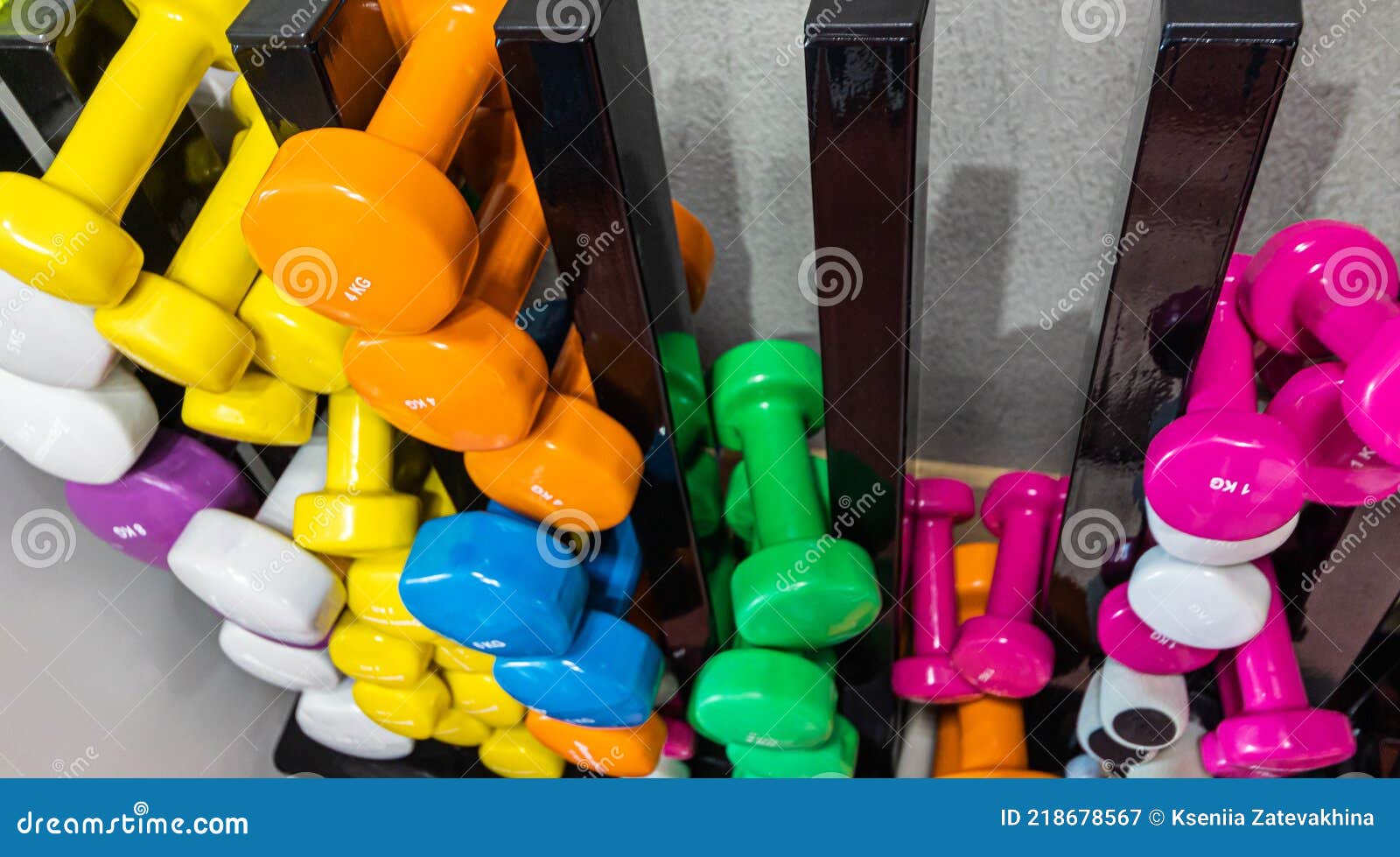 Multi-colored Light Weights for Gymnastics and Warm-up in the Gym Stock ...