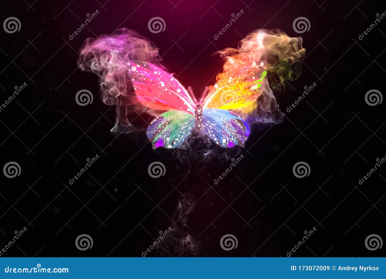 Multi Colored Magic Butterfly on a Black Background Stock Image - Image ...