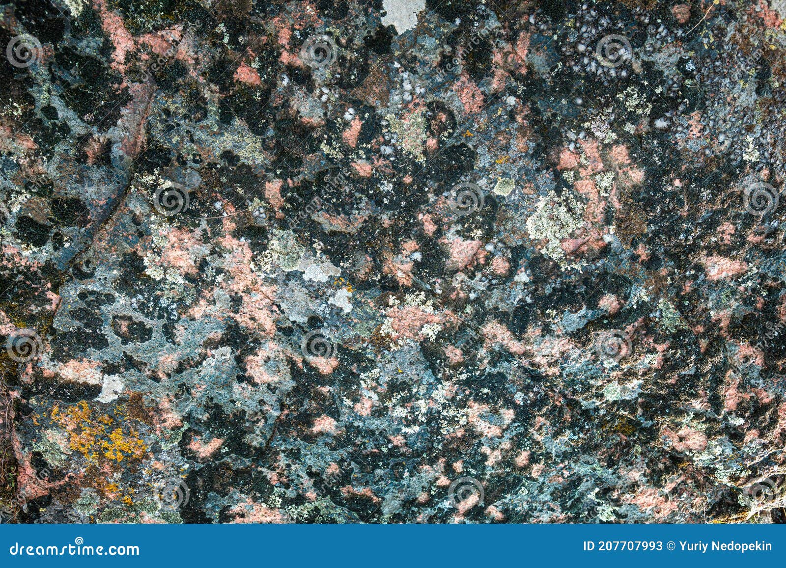 Multi-colored Mold Texture on the Stones Stock Image - Image of green ...