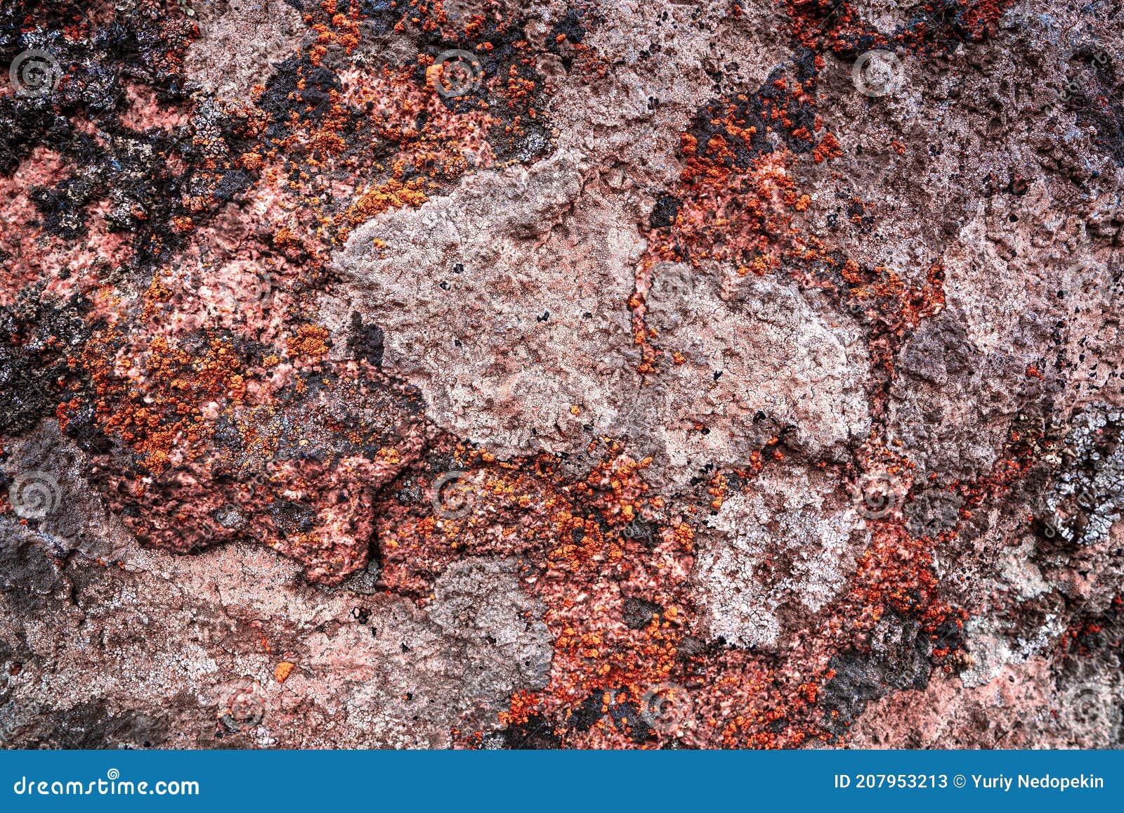 Multi-colored Mold Texture on the Stones Stock Image - Image of gray ...