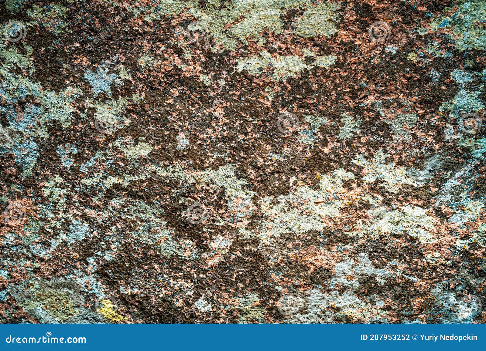 Multi-colored Mold Texture on the Stones Stock Photo - Image of black ...