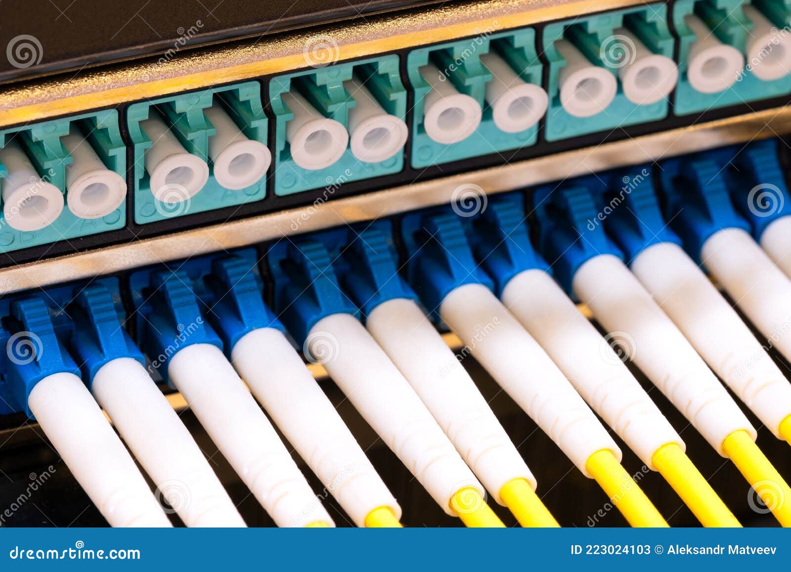 Multi Colored Network Cables Connected To Switch, Network Technology ...