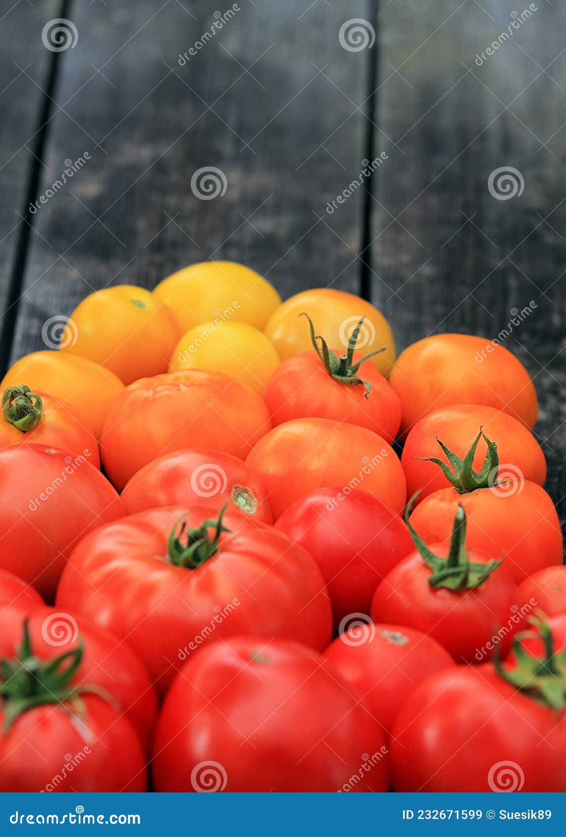 Multi-colored Organic Tomatoes Lie on a Dark Surface Stock Image ...