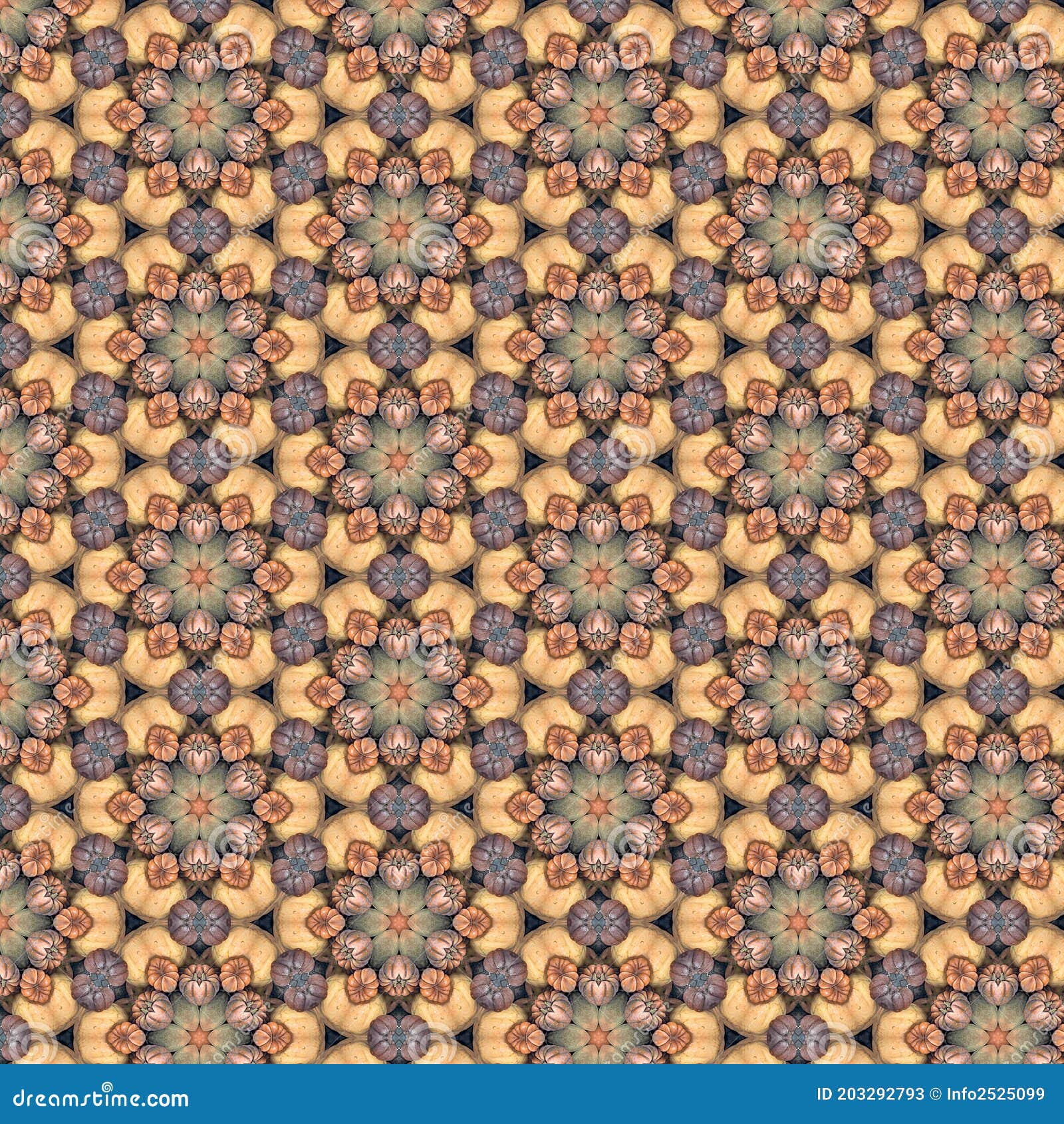 Design of Motive Pattern with Pumpkins, Stars and Abstract Form Inside ...