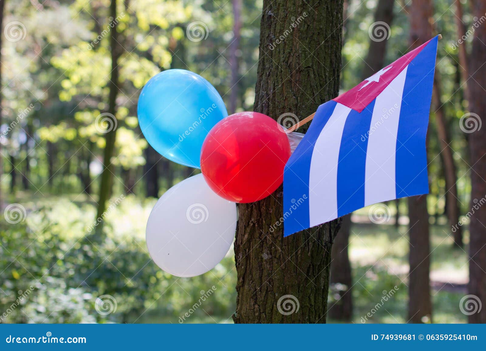 Multi Colored Party Balloons with Texas State Flag Stock Image - Image ...