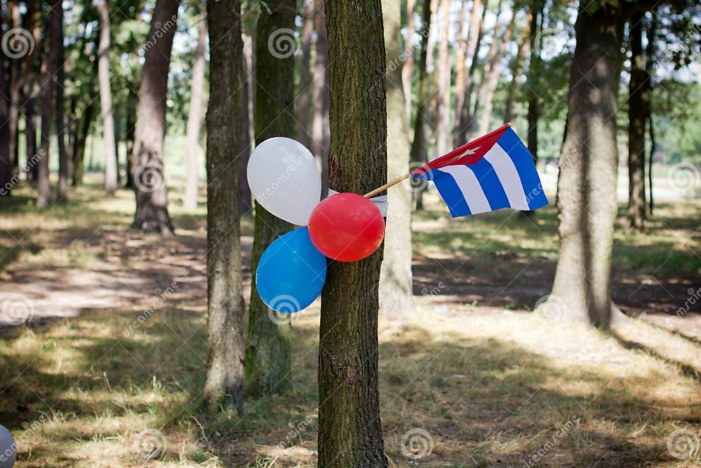 Multi Colored Party Balloons with Texas State Flag Stock Image - Image ...