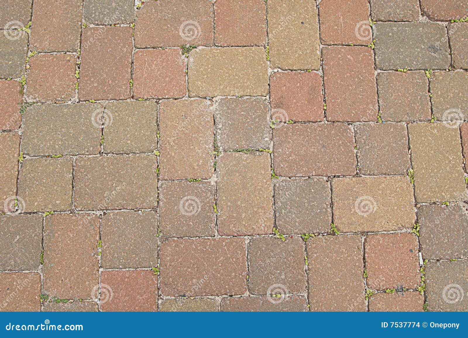 Multi Colored Pavers stock photo. Image of mason, construction - 7537774