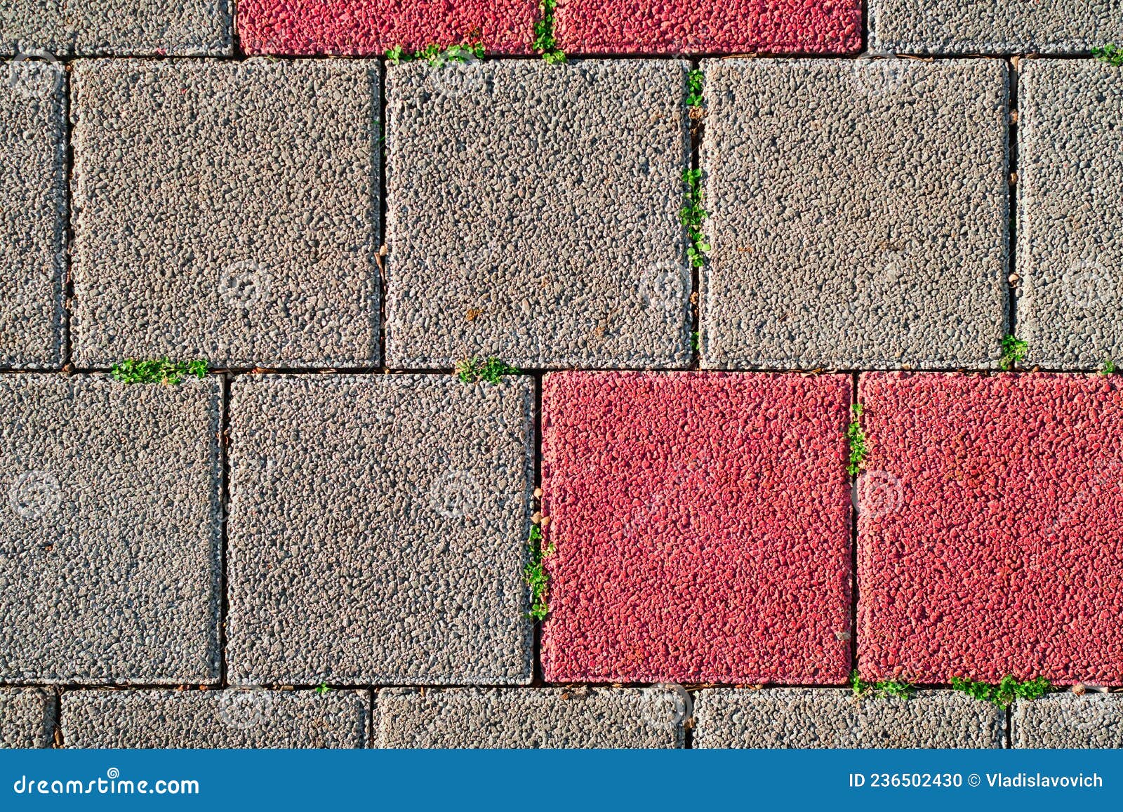 Multi-colored Paving Slabs and Tiny Green Grass Growing among Them. Top ...