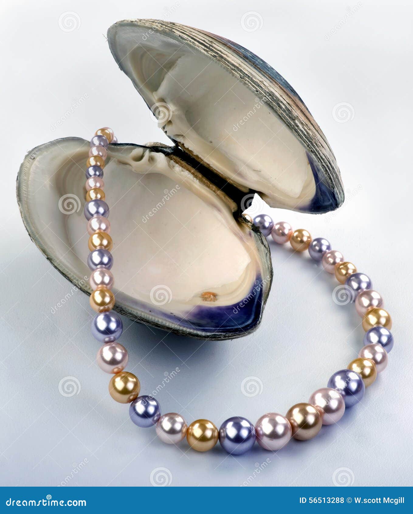 Multi Colored Pearls. stock photo. Image of elegant, chocolate - 56513288