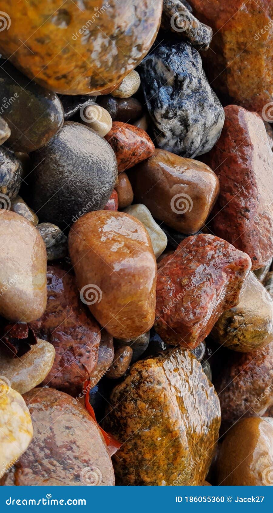 Pebbles, Rocks, Seaweed On The Sea Floor Through Clear Water In Shallow ...