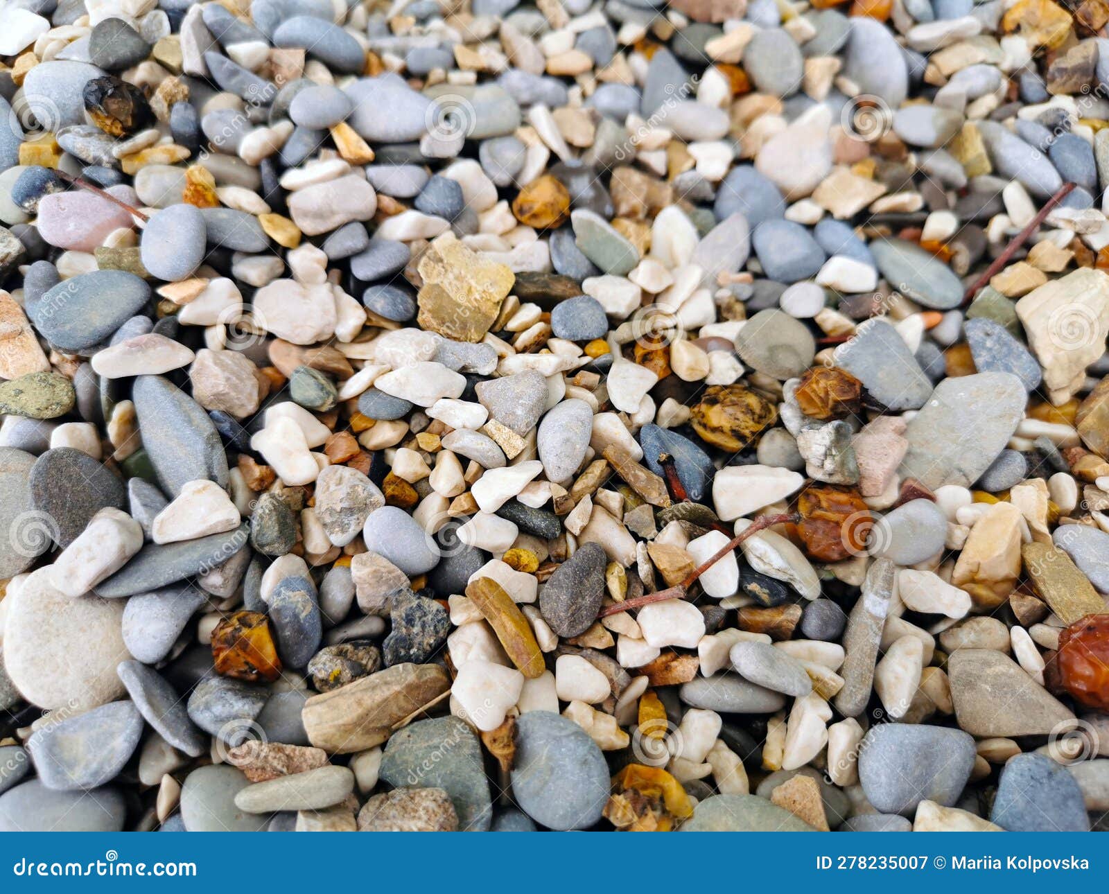 Multi-colored Pebbles on the Seashore Stock Image - Image of food ...