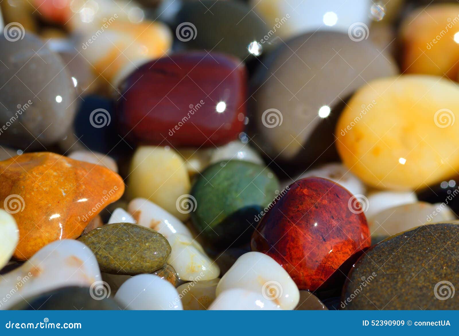 Multi-colored pebbles stock image. Image of fresh, stones - 52390909