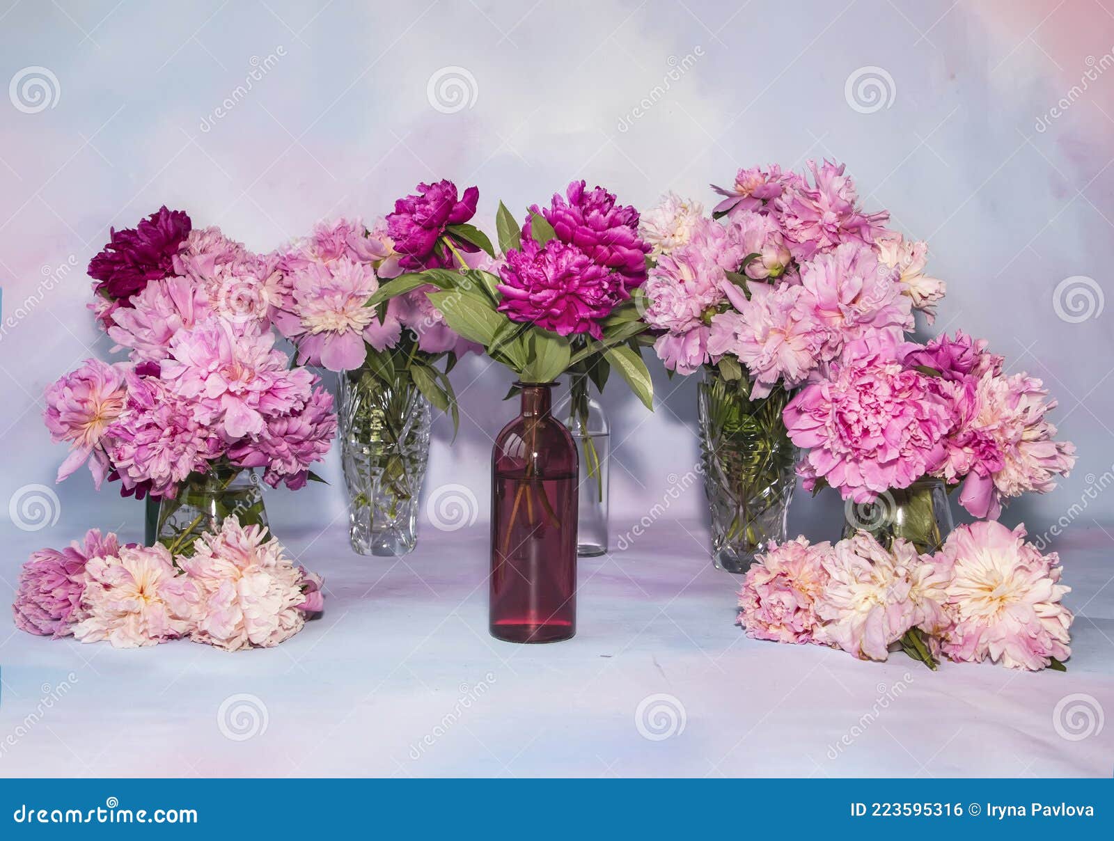 Multi-colored Peonies in Various Vases Stock Photo - Image of color ...