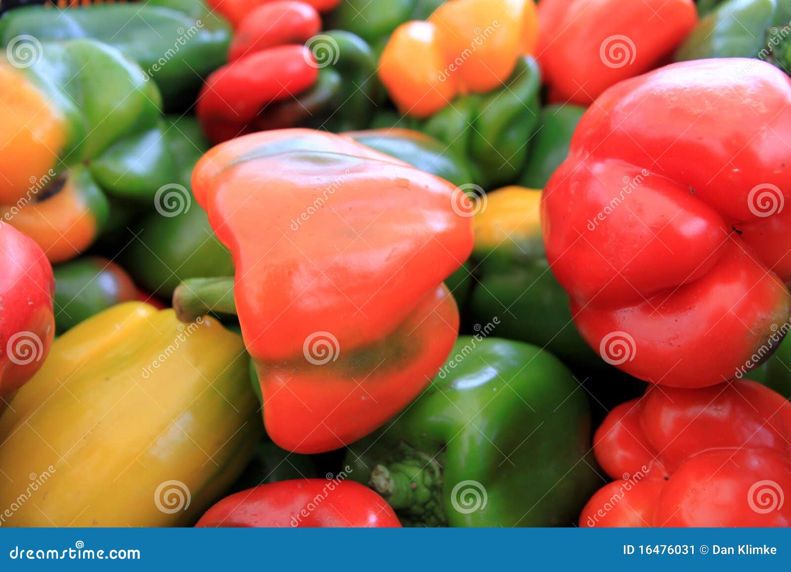 Multi Colored Peppers stock image. Image of snap, yellow - 16476031